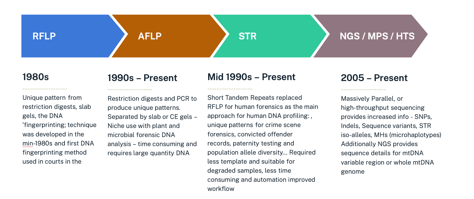 What does fragment analysis look like today?